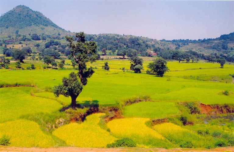 A Complete Tour Guide To Araku Valley Hill Station - Trans India Travels