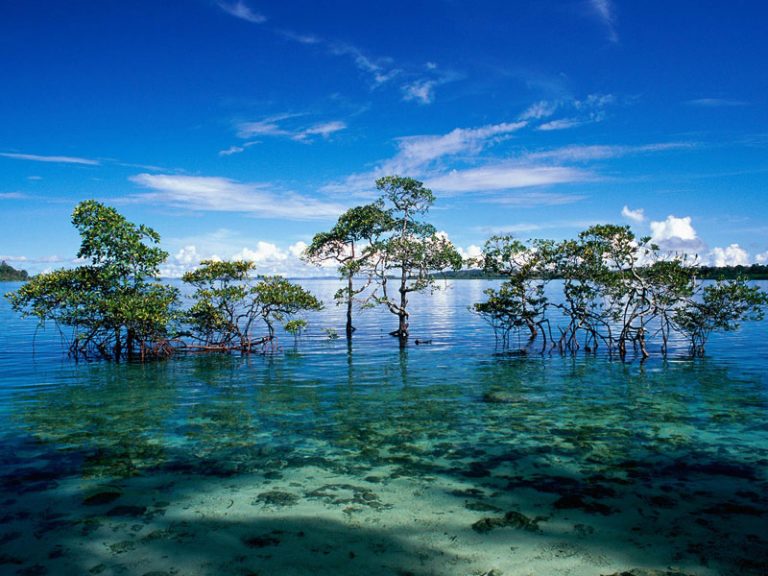 Avis Island, Mayabunder - Entry Fee, Visit Timings, Things To Do & More...