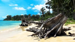 7 Places To Visit In The Andaman And Nicobar Islands - Trans India Travels