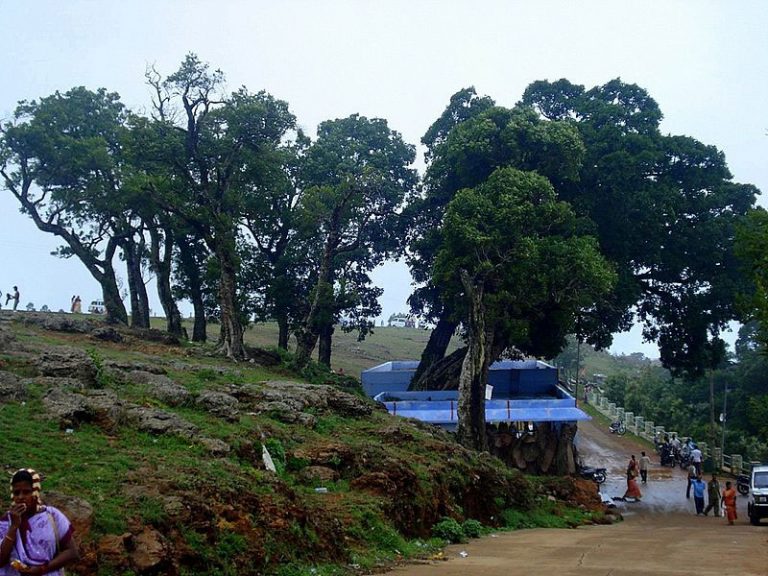 Shevaroy Temple, Yercaud - Entry Fee, Visit Timings, Things To Do & More...